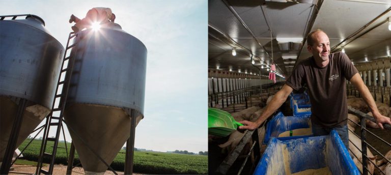 About Wakefield Pork | Wakefield Pork