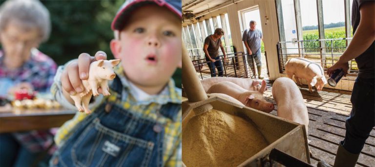 Our Culture | Wakefield Pork